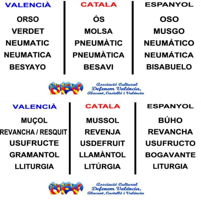 YO SOC CHE - La verdad histórica de la lengua valenciana - YO SOC CHE
